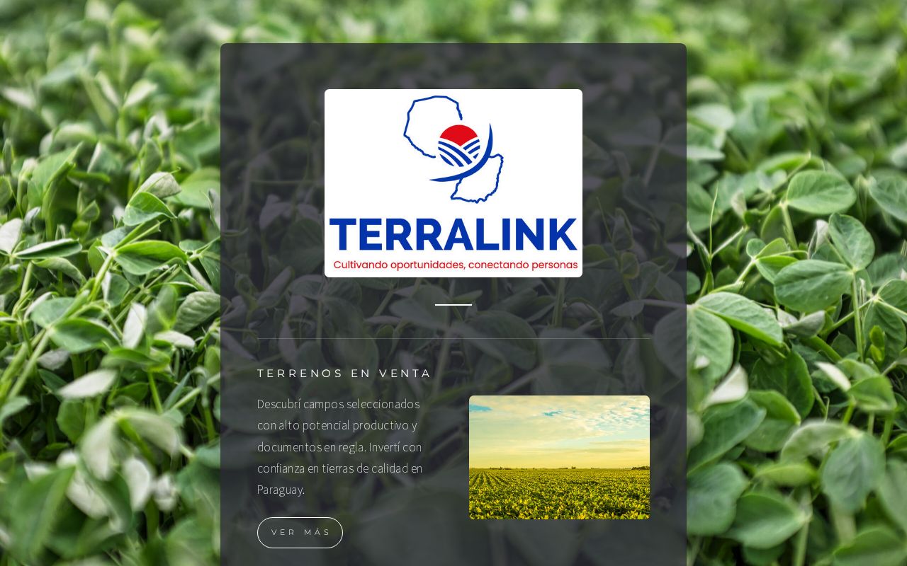 Terralink